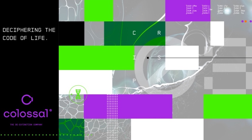 The De-extinction Company | Colossal