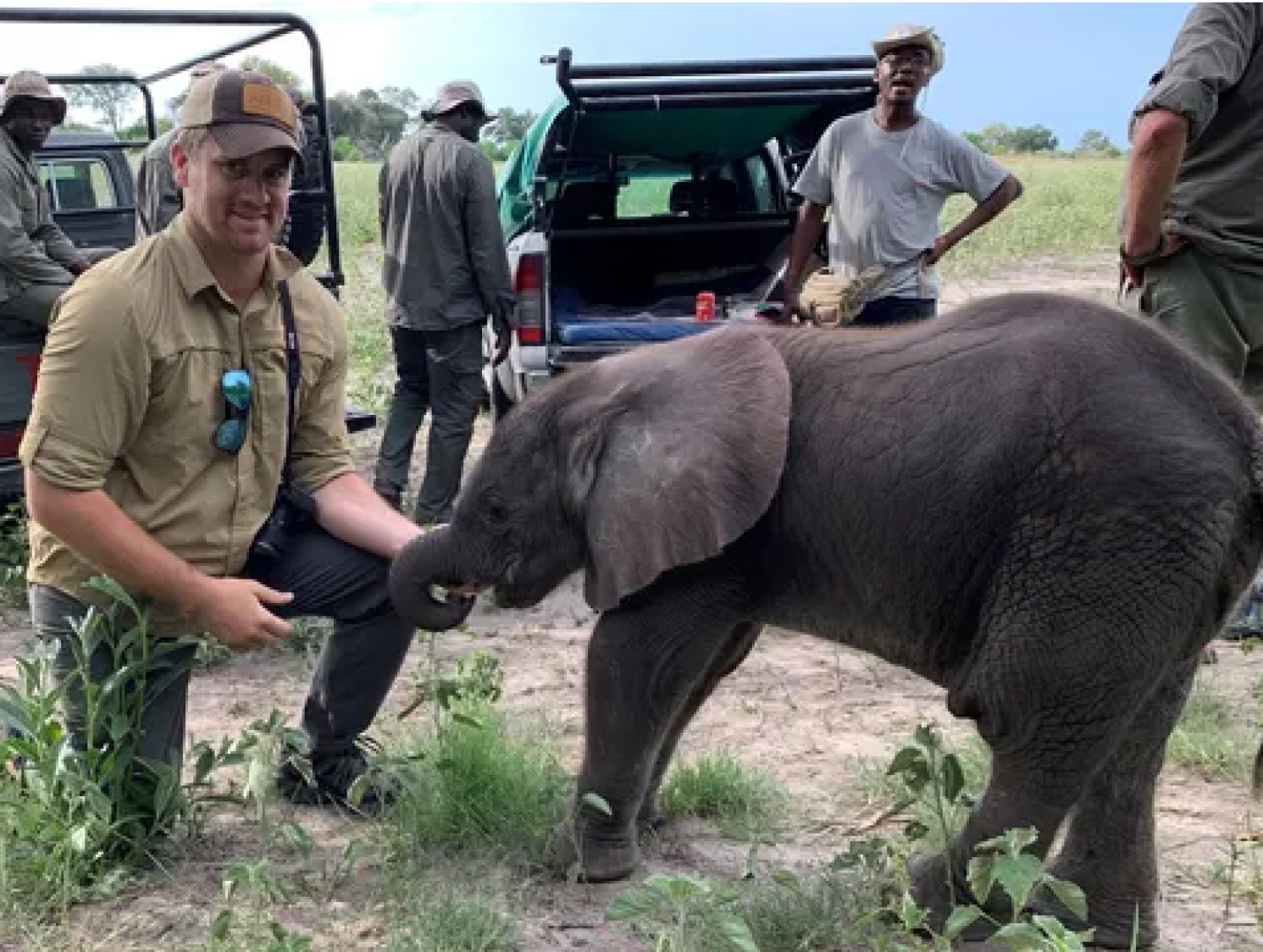 Elephant Havens: A Sanctuary of Love, Hope, and Conservation