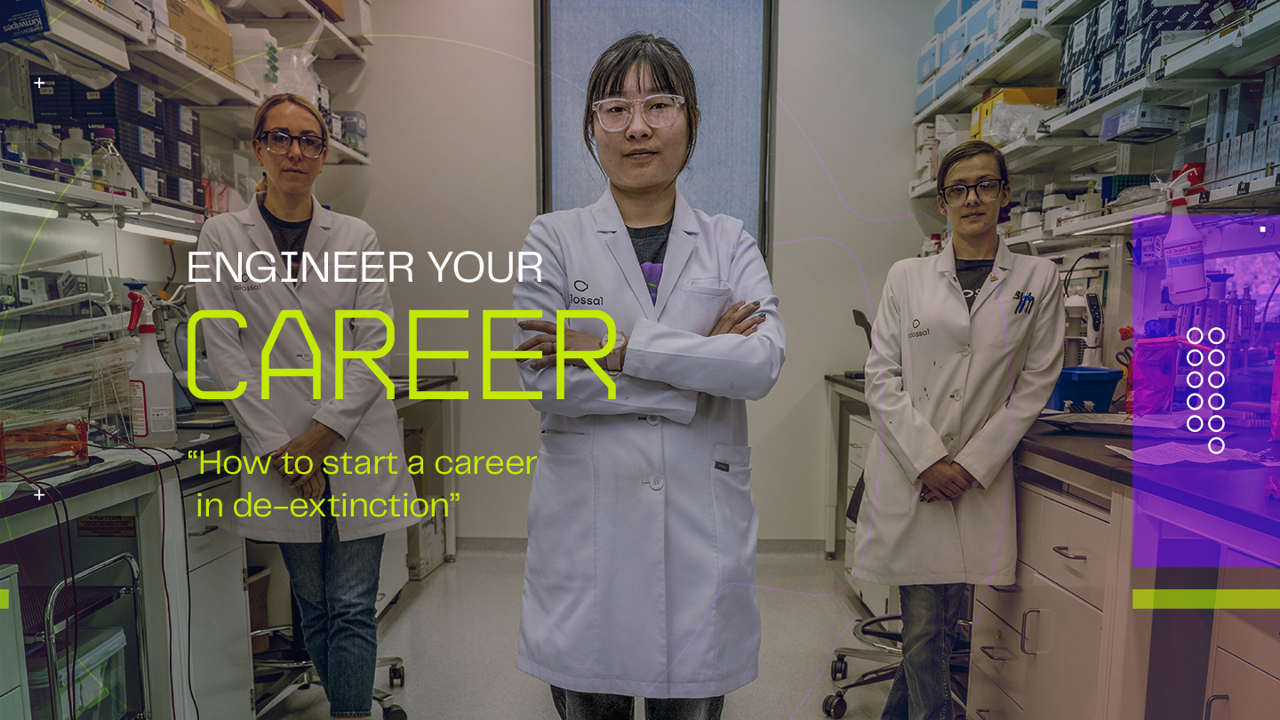 How to Start a Career in De-Extinction - Colossal