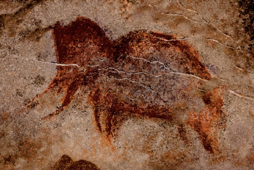 De-extinction Articles, Insights & Interviews | Colossal