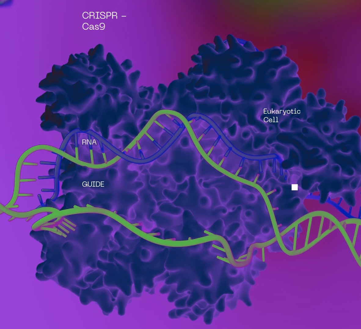 De-extinction Technology for a New Wave of Wild | Colossal
