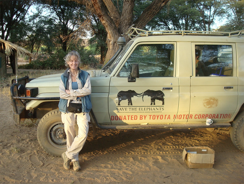 Ending The Pachyderm Plague