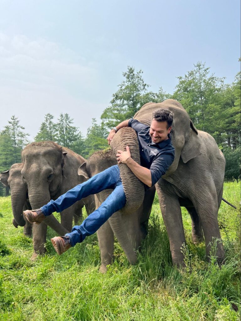 How to Start a Career in De-Extinction - Colossal