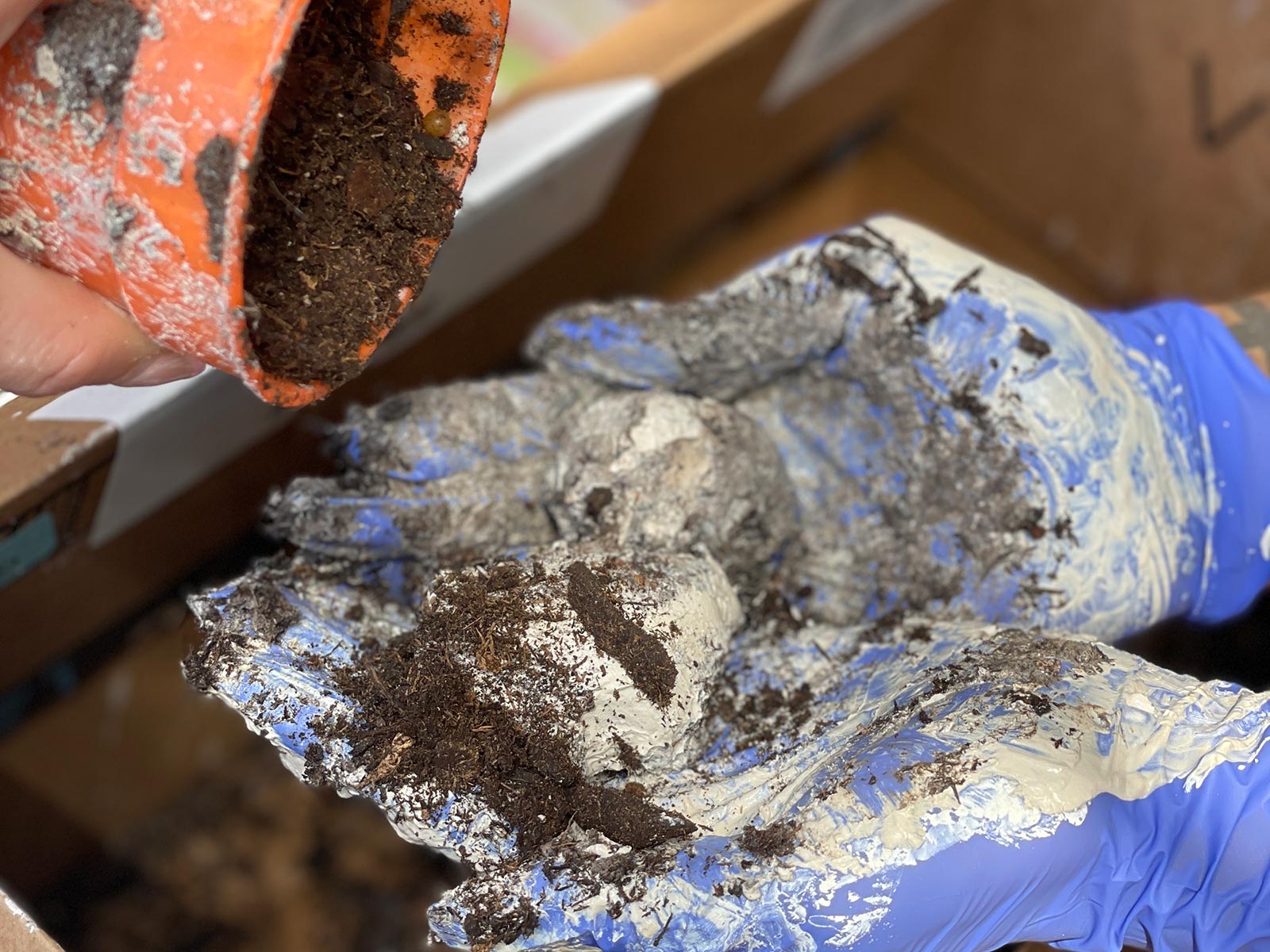 Colossal Crafts: DIY Your Own Seed Bombs