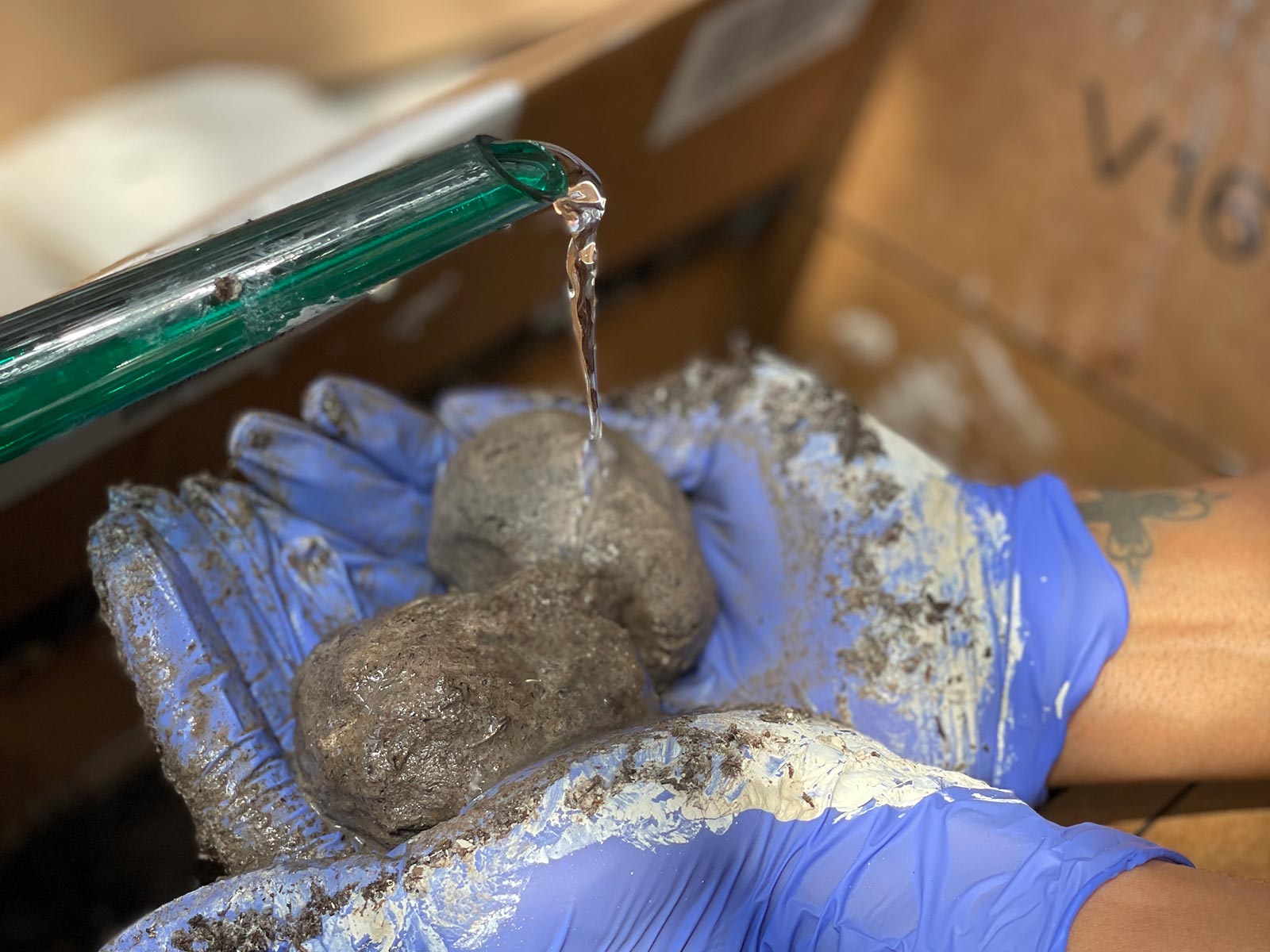 Colossal Crafts: DIY Your Own Seed Bombs