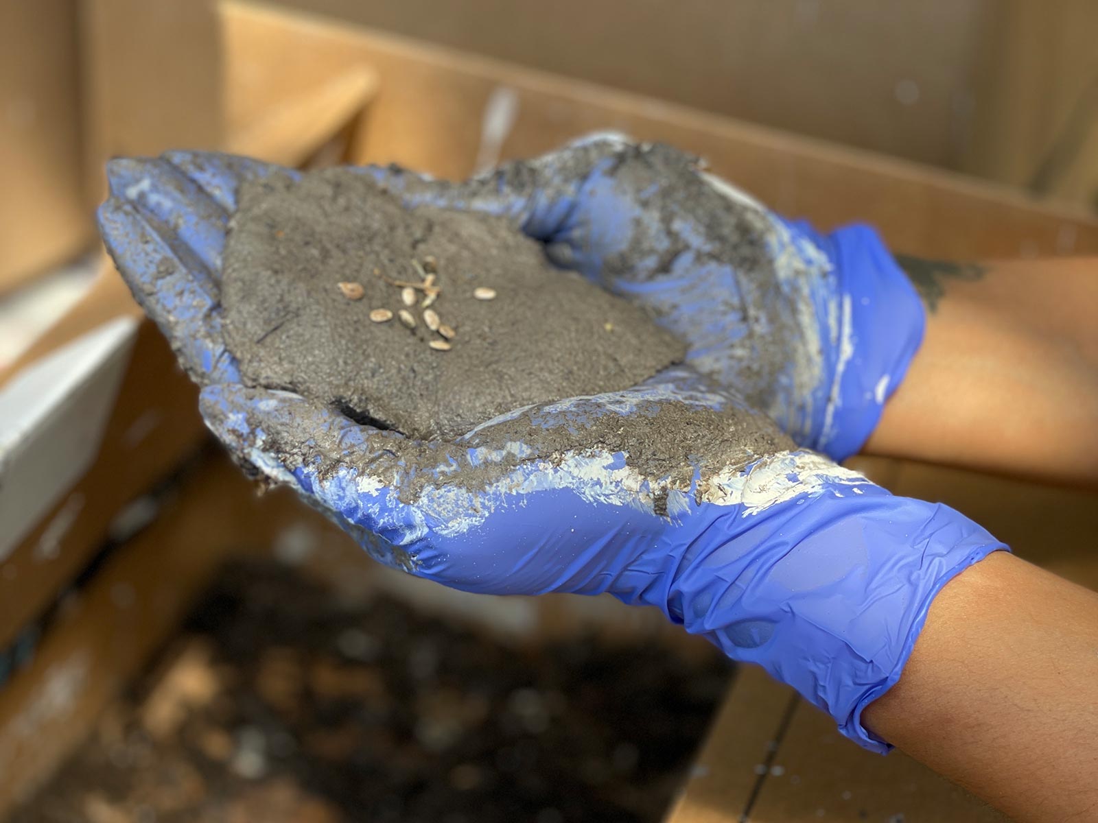 Colossal Crafts: DIY Your Own Seed Bombs
