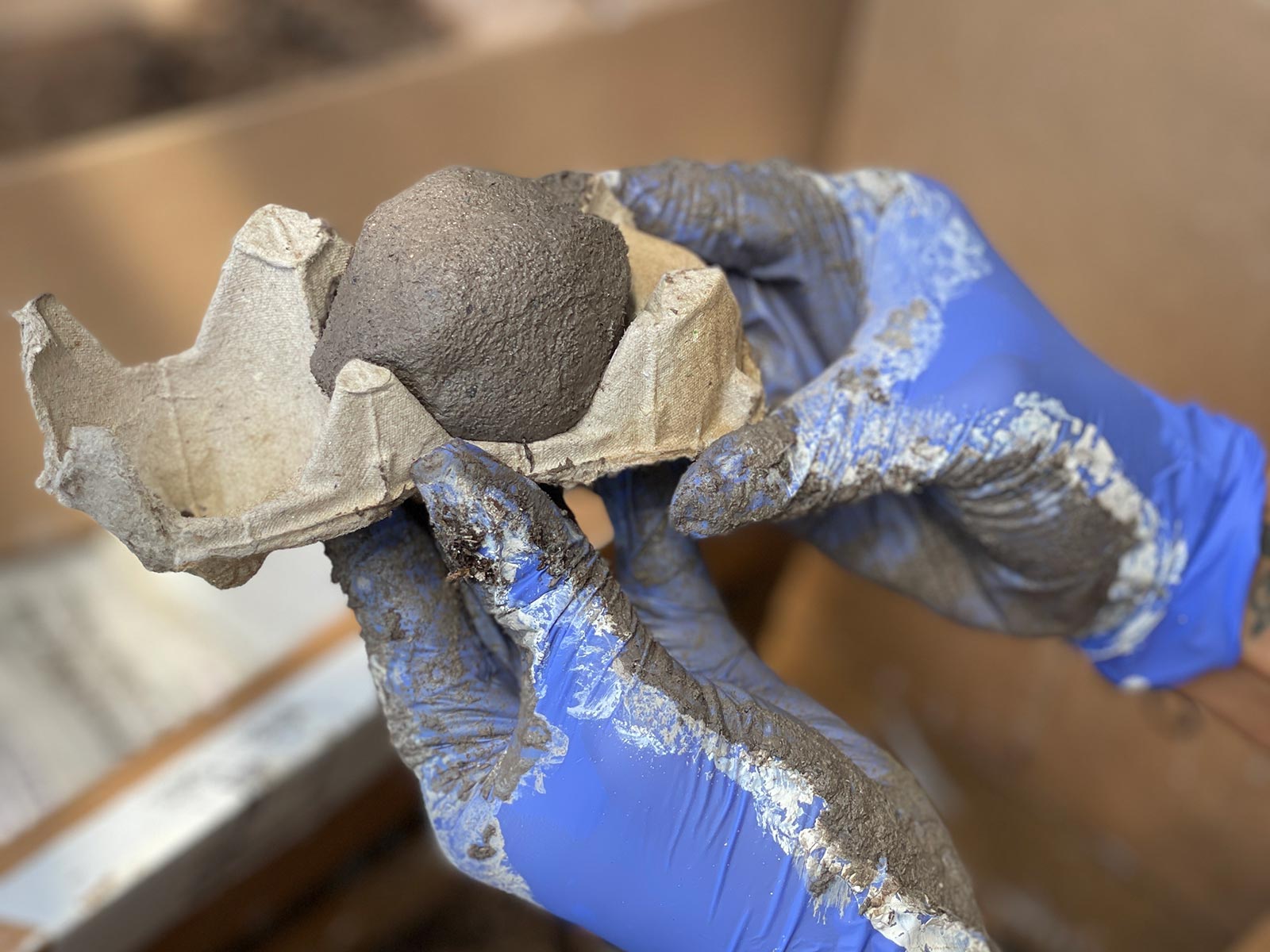 Colossal Crafts: DIY Your Own Seed Bombs