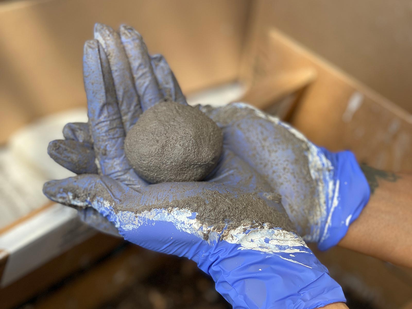 Colossal Crafts: DIY Your Own Seed Bombs